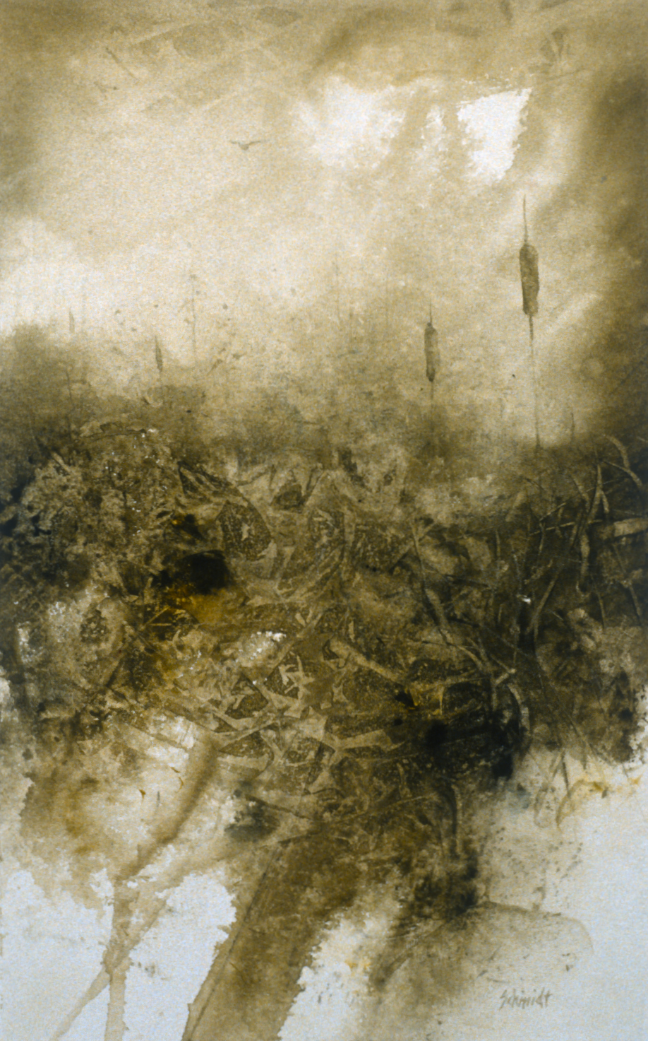 Pigments of My Imagination – Jerry Schmidt – Aquamedia » Early Art